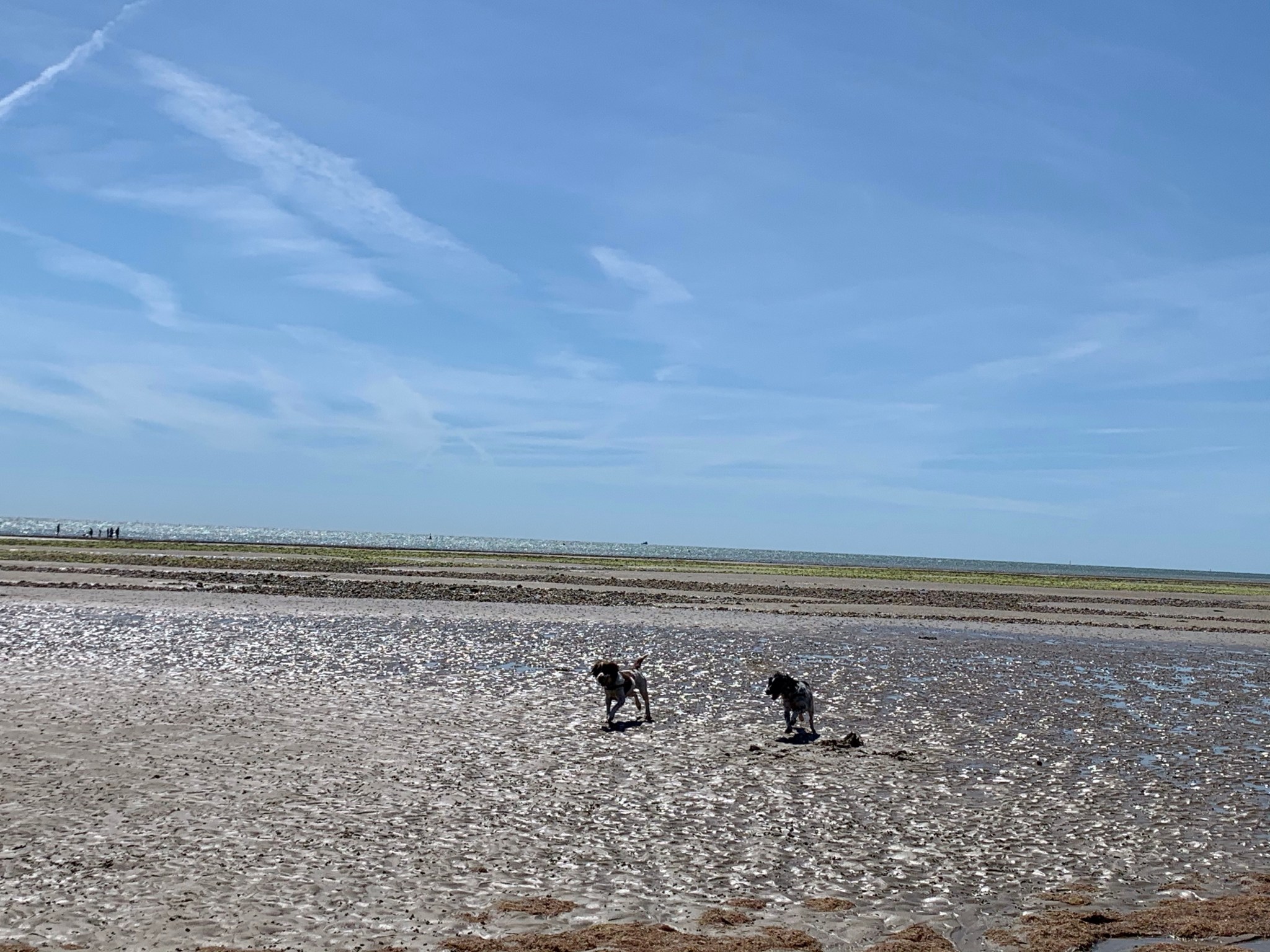 A day at Worthing beach – COUNTRY RAMBLES